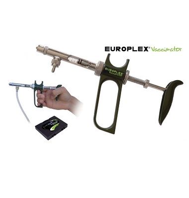 Catálogo - Rafael del campo