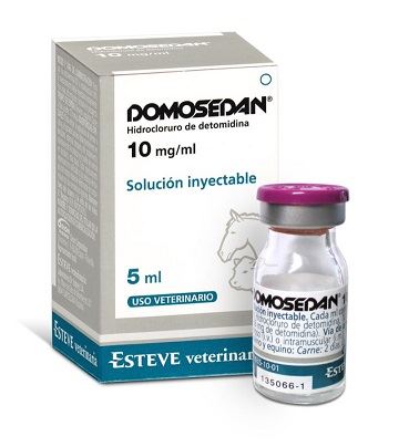 Catálogo - Rafael del campo