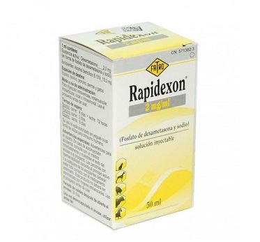 Catálogo - Rafael del campo