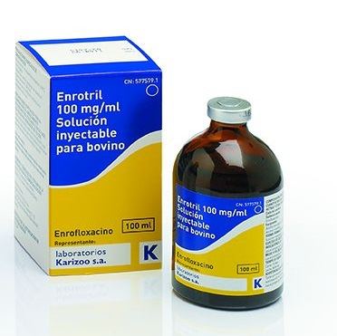 Catálogo - Rafael del campo