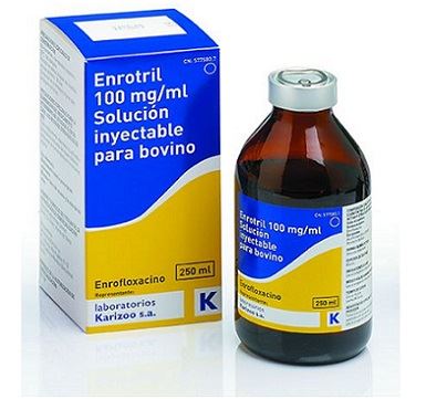 Catálogo - Rafael del campo