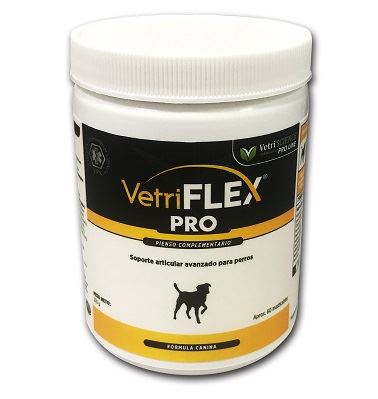 Catálogo - Rafael del campo