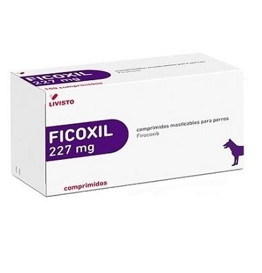 Catálogo - Rafael del campo