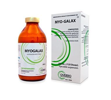 Catálogo - Rafael del campo